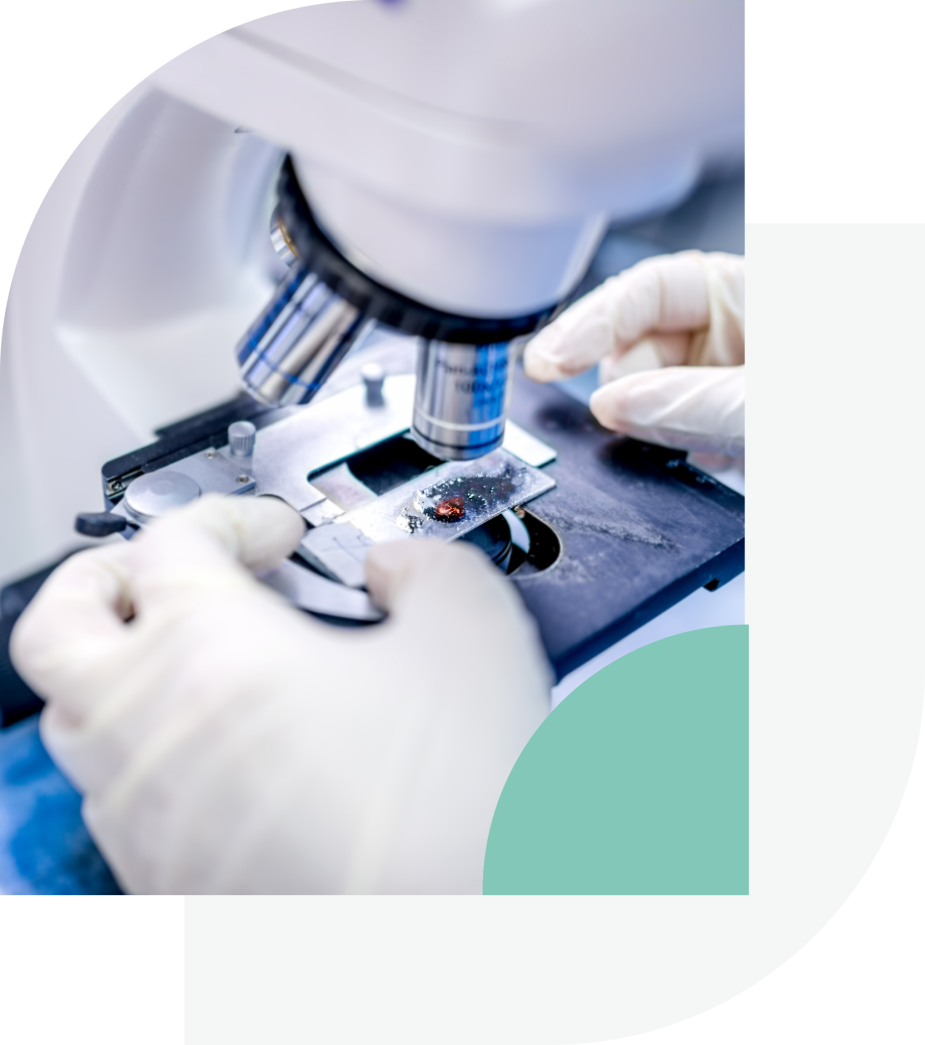 Medical Device Technology - OSYPKA